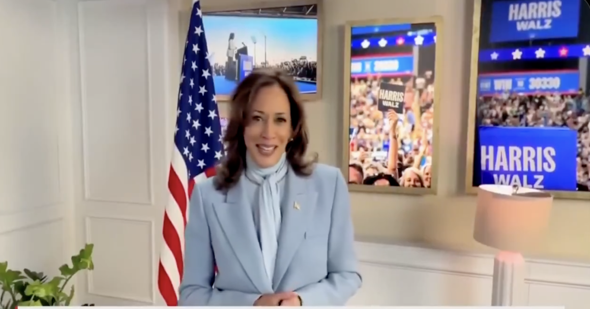 Was Cackle Queen's Campaign a Money Laundering OP? Sure Looks Like It ...