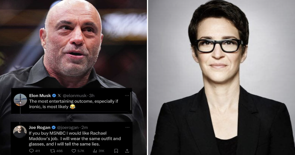 Joe Rogan Could Replace Rachel Maddow at MSNBC... If We're Lucky ...