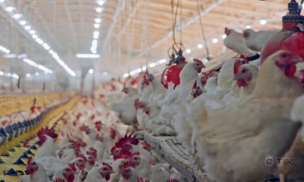 Here We Go! So-Called 'Experts' Sound Alarms Over Yet Another 'Pandemic ...